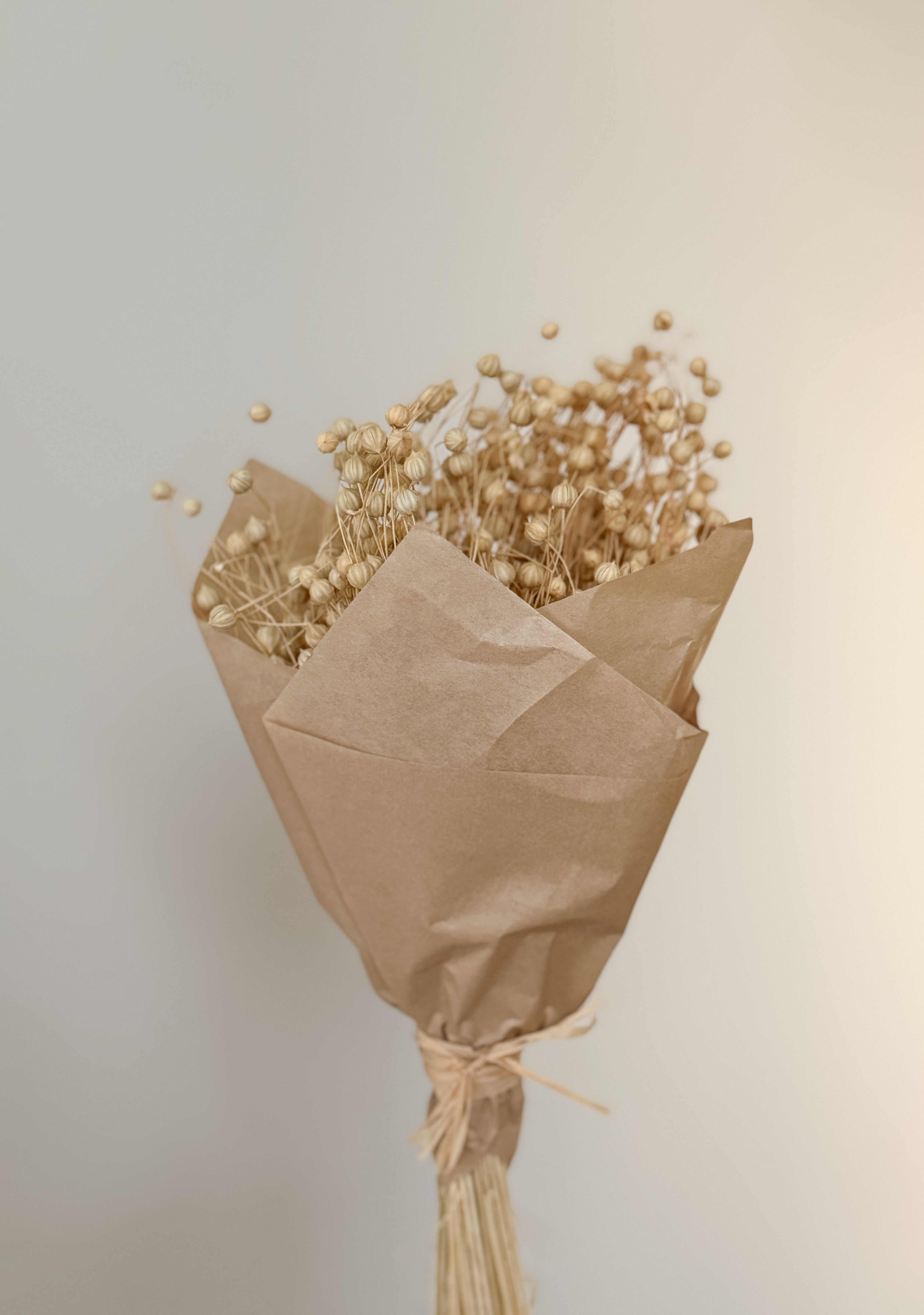 Yellow Pods Flax Dried Flowers – Cottage Home