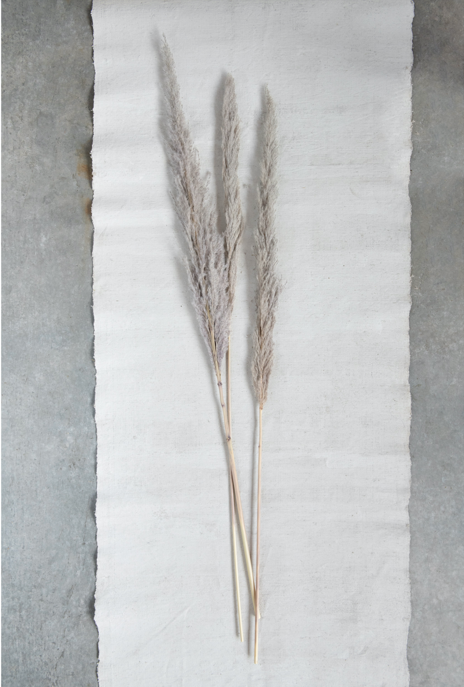 Sale – Cottage Home